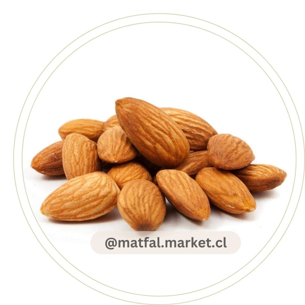 Fruto Seco